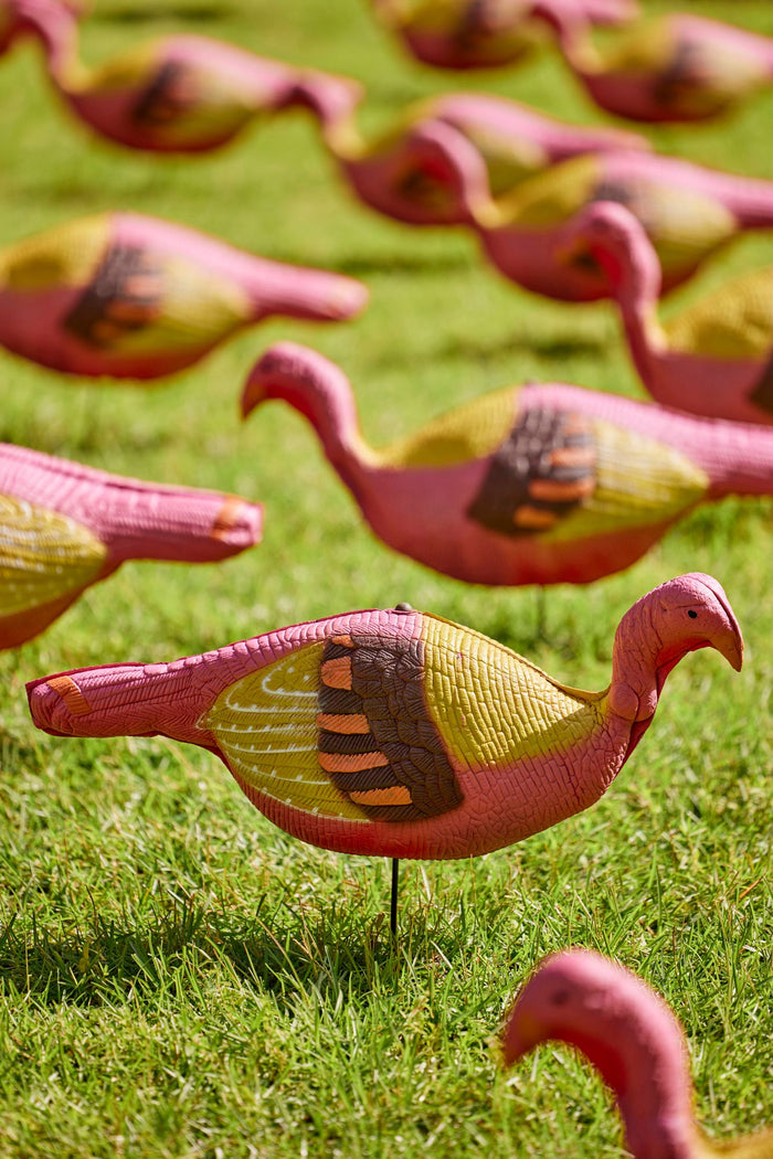 SET OF 12 WILD TURKEY LAWN DECOYS